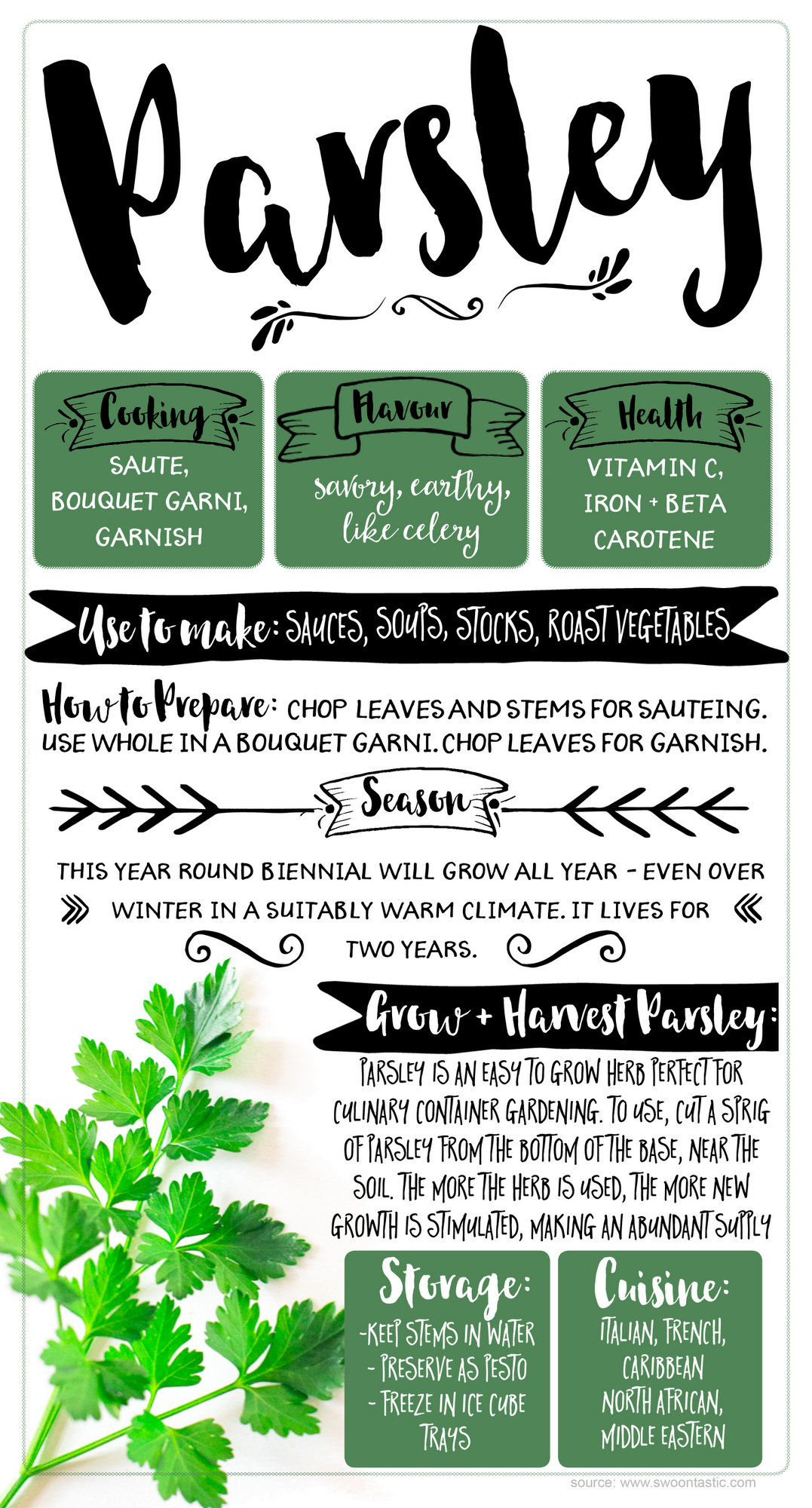 How to Use Parsley in Cooking (like a boss)